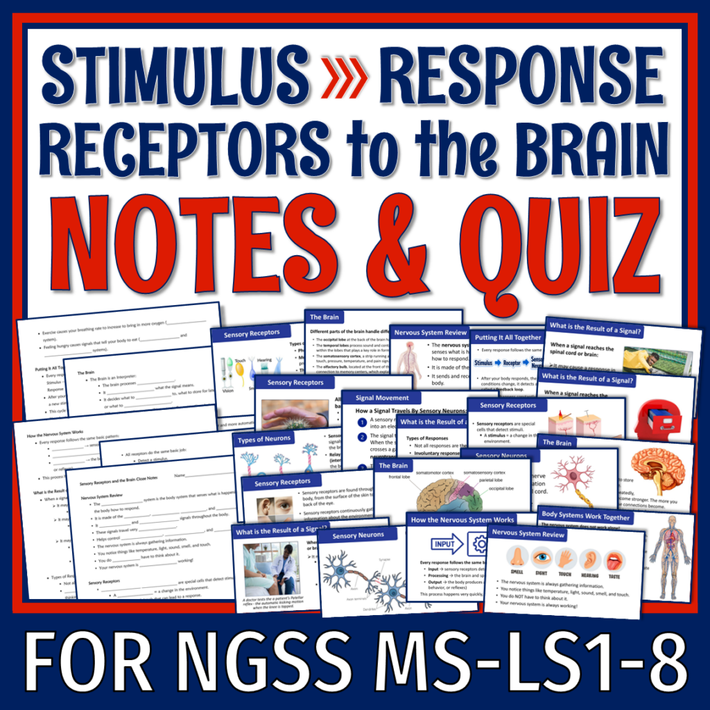 Respiratory System Unit - Flying Colors Science
